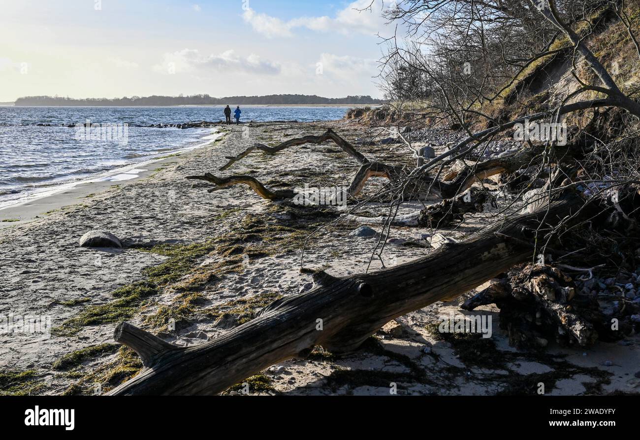 27 December 2023, Mecklenburg-Western Pomerania, Göhren: Walkers on the ...