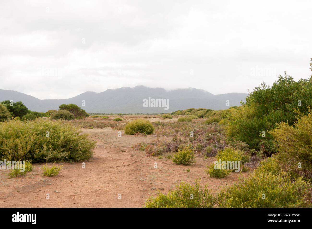 Wilsons Prom nature and wildlife walk Stock Photo - Alamy