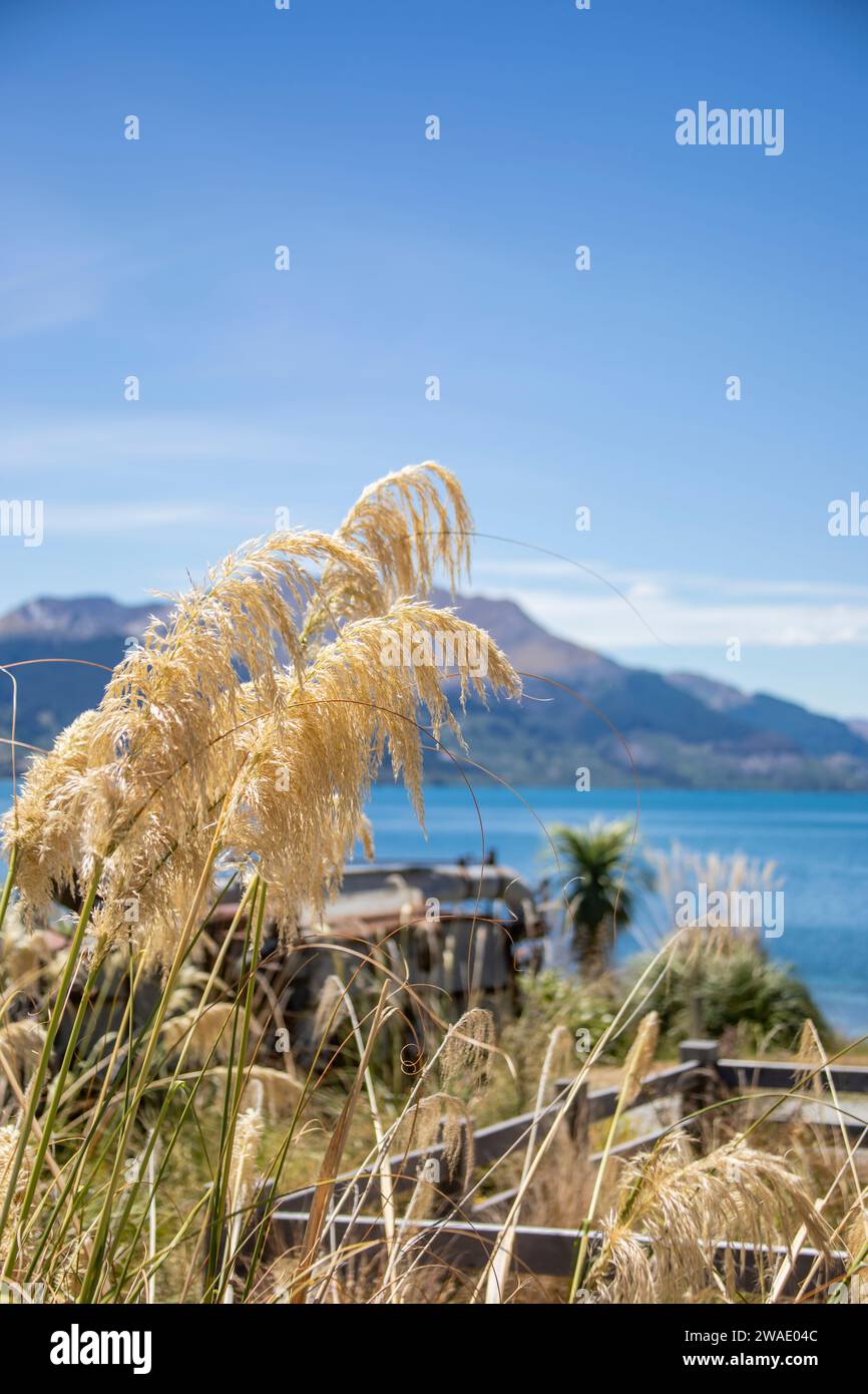 the view of Walter Peak High Country Farm in queenstown new zealand ...