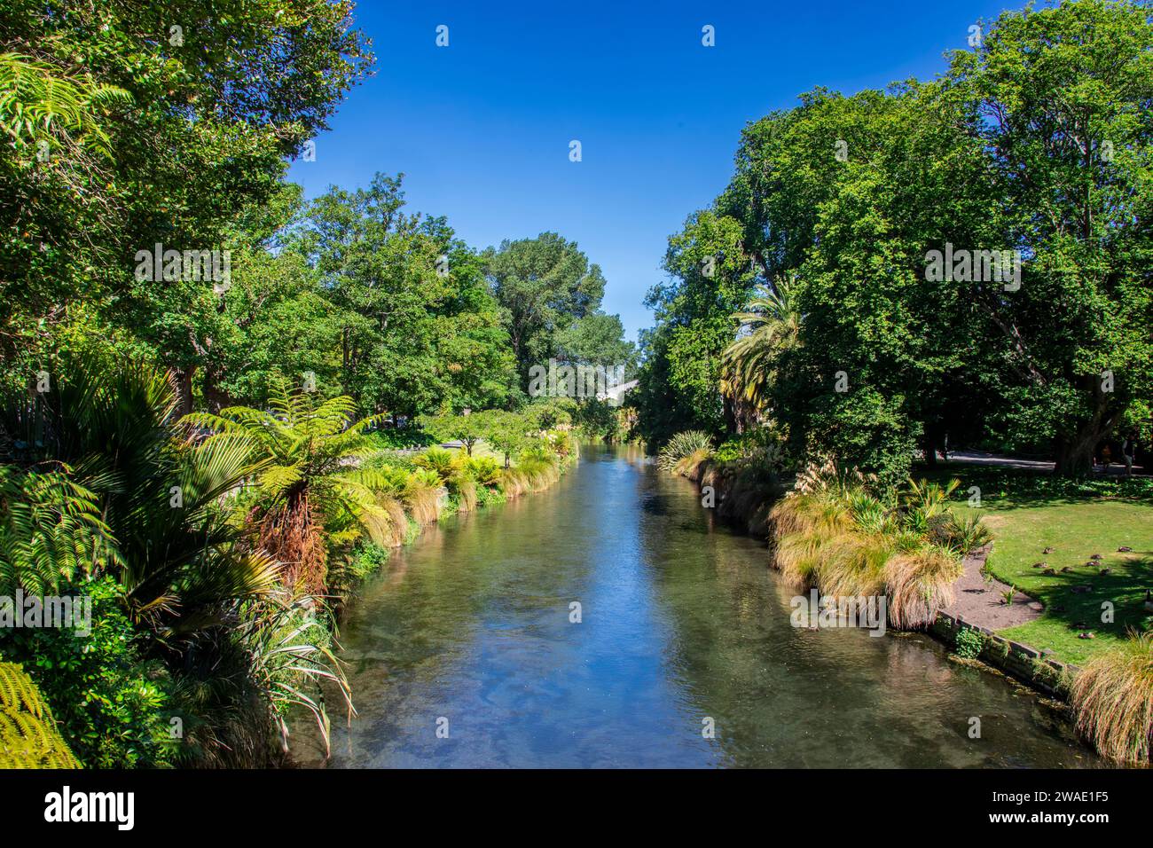 the view of Avon River in Christchurch botanic gardens New Zealand ...