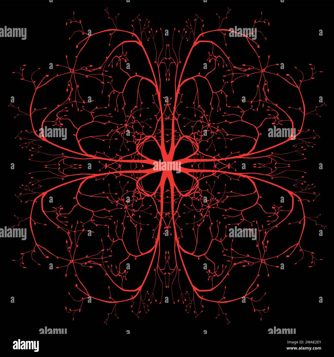 Drawing a mandala Stock Vector Images - Alamy
