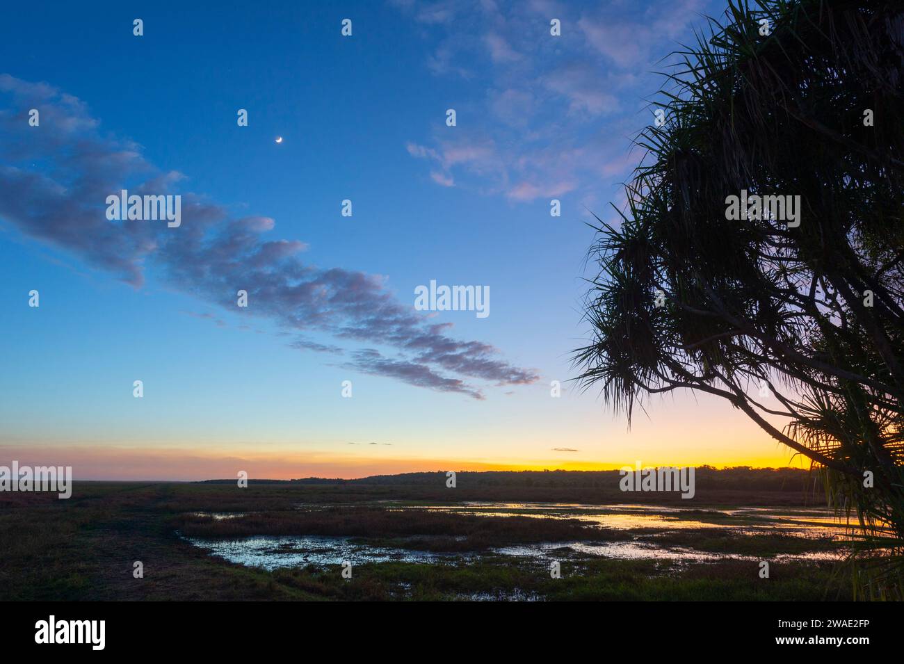 Atmospheric sunrise over the wetlands at Fogg Dam, a popular tourist ...