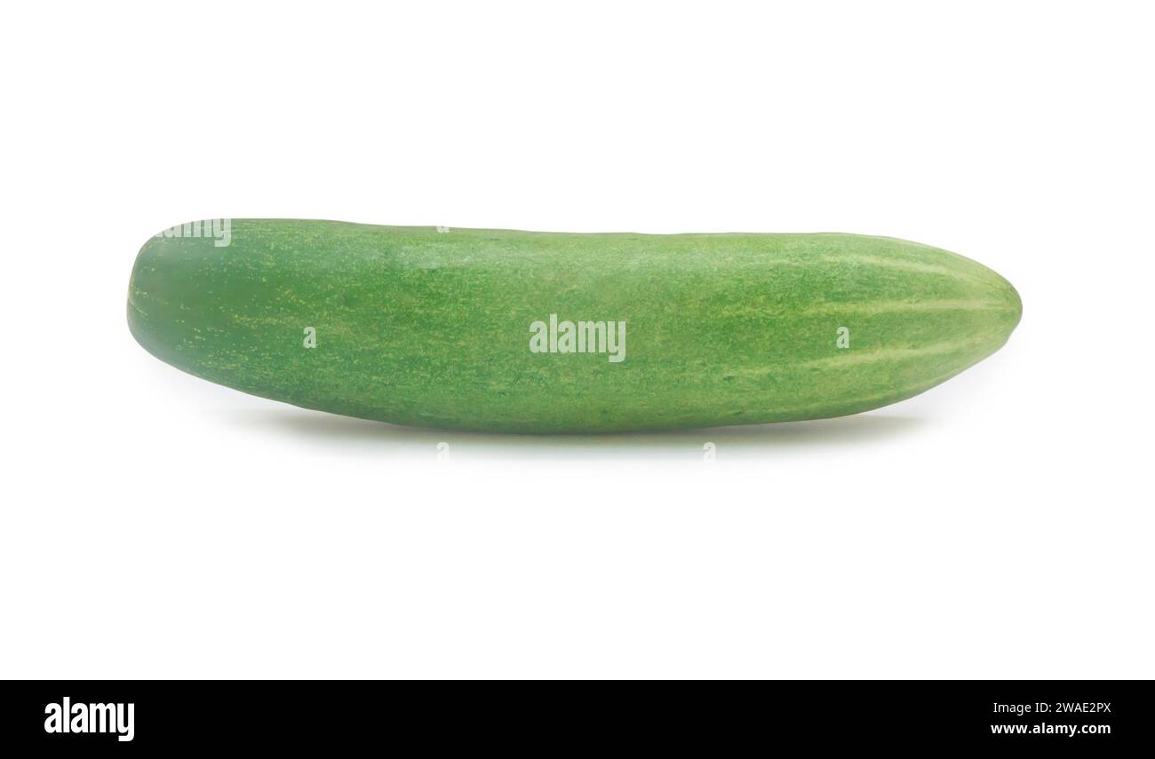 Single green fresh cucumber vegetable is isolated on white background ...