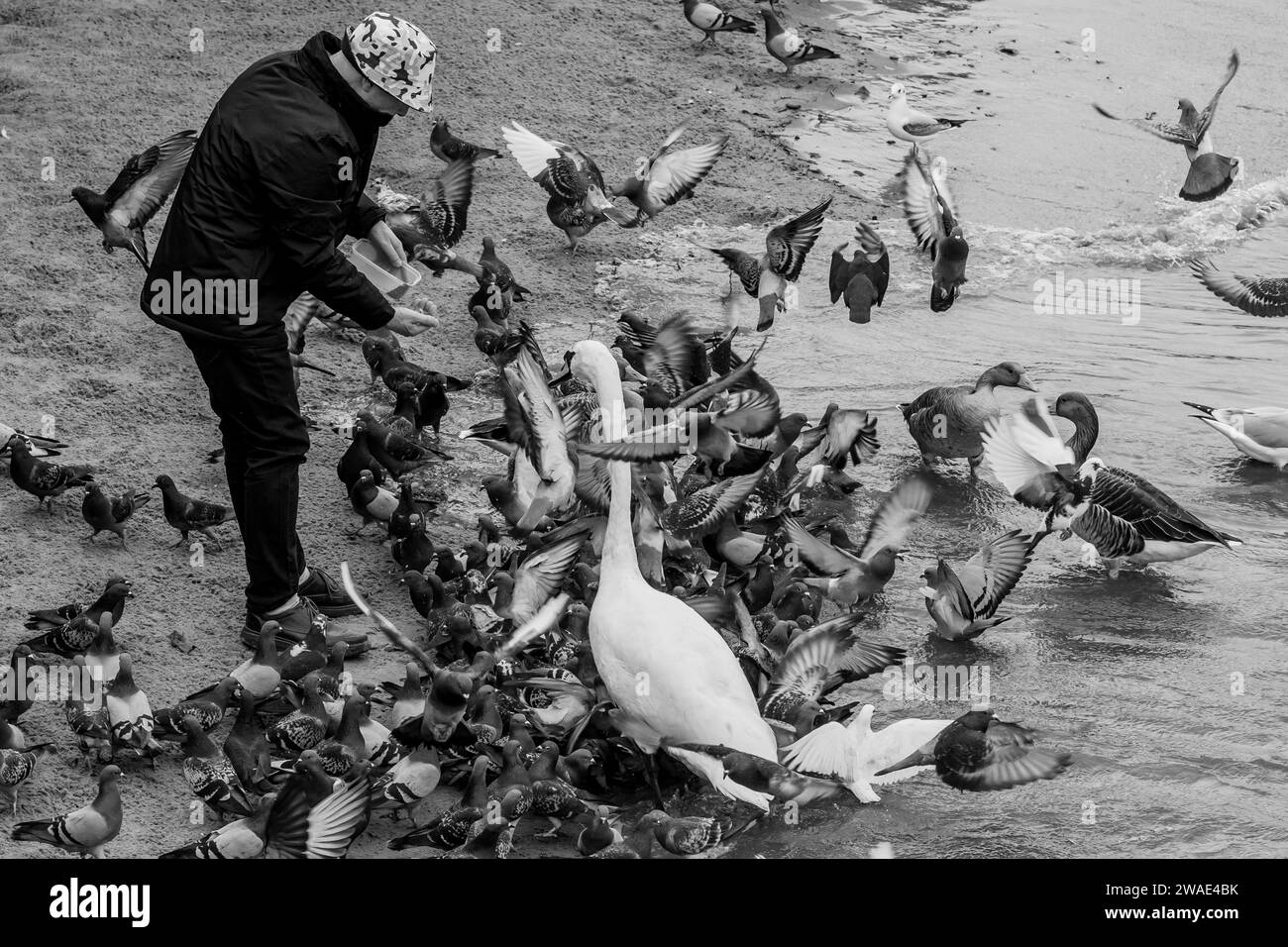 Festive season london Black and White Stock Photos & Images - Alamy