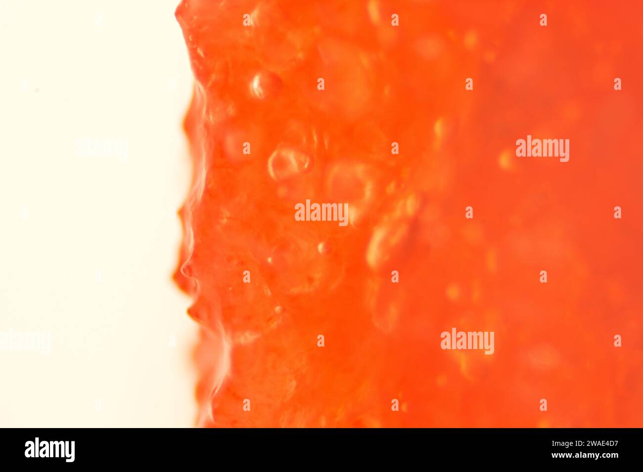 Microscopic closeup detail organic structure hi-res stock photography ...