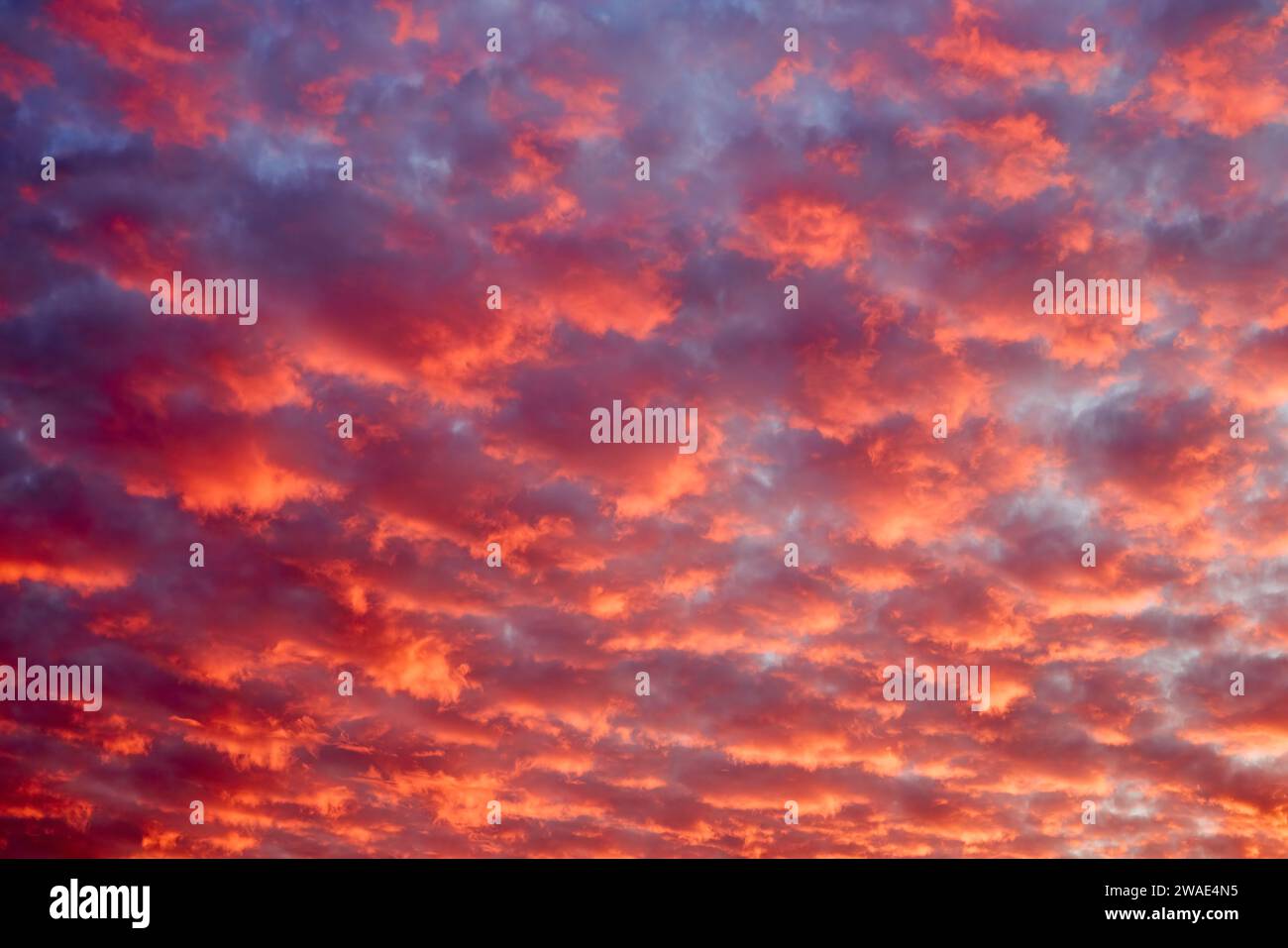Beautiful landscape with a sky with red-orange hues created due to ...