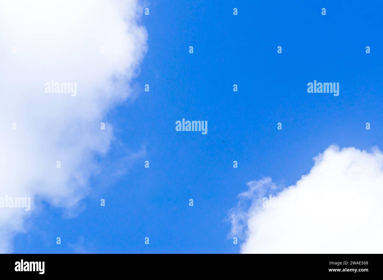 Beautiful blue sky with strange white cloud, single little bird, copy ...
