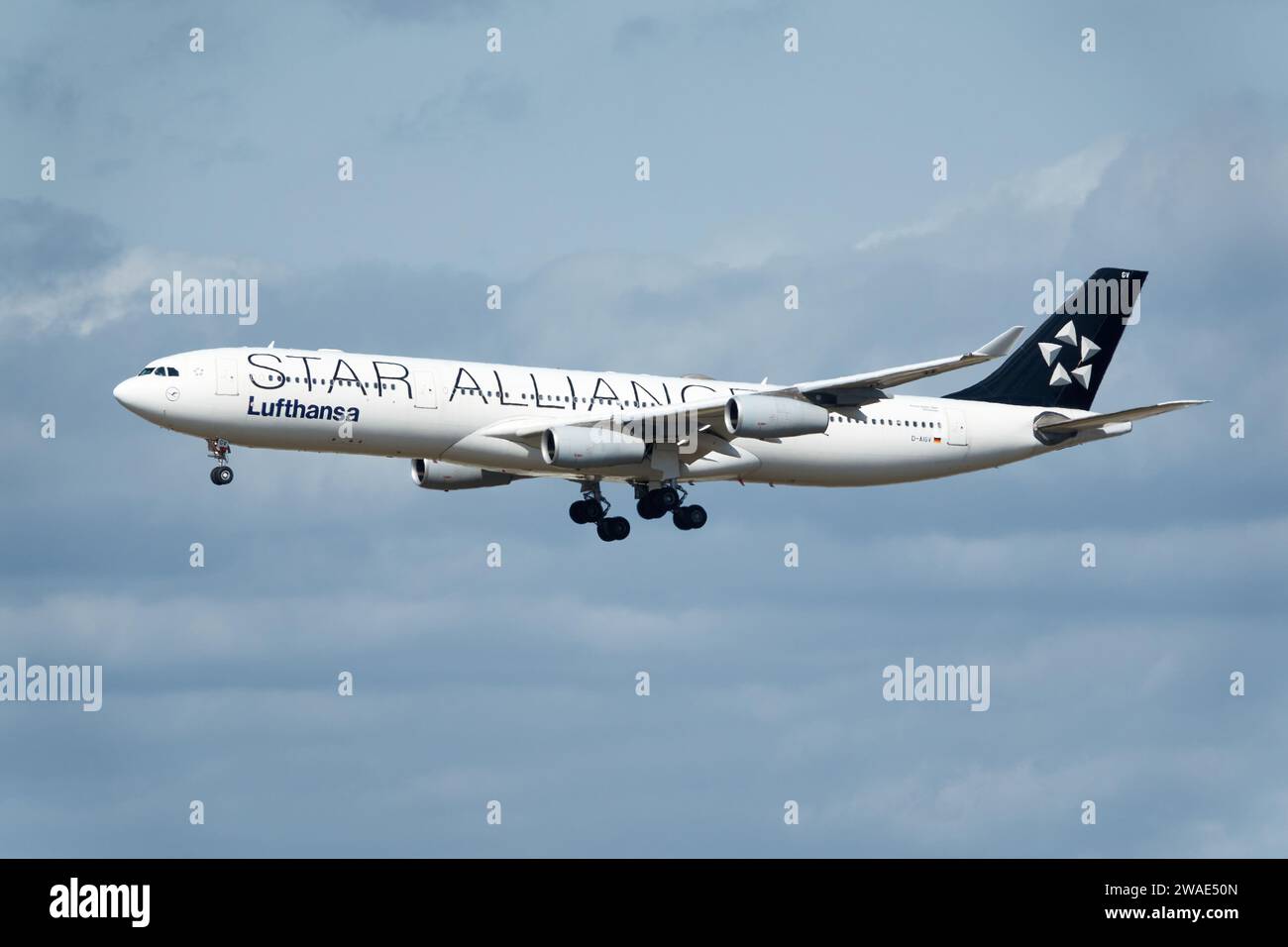 In flight shot of an Star Alliance Airbus A340 airplane approaching ...