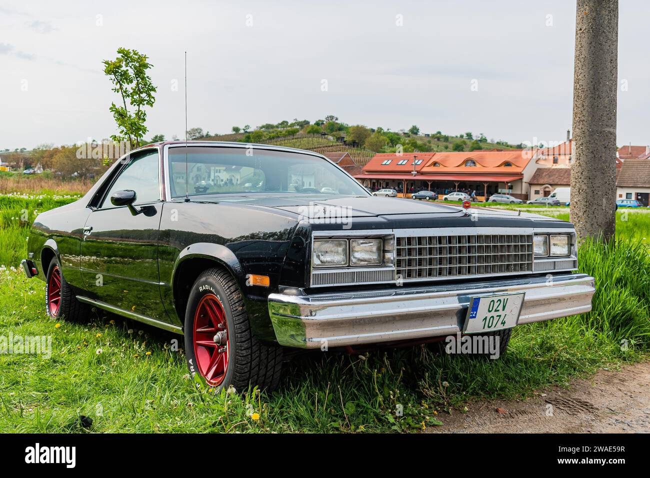 Charity event Americ a n cars among wine cellars Chevrolet El Camino ...