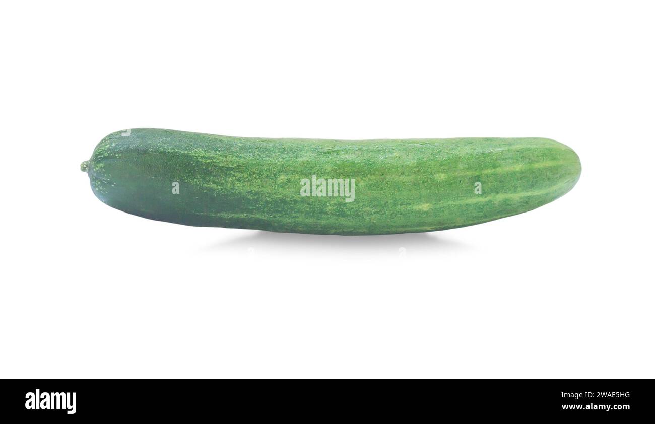 Single green fresh cucumber vegetable is isolated on white background ...