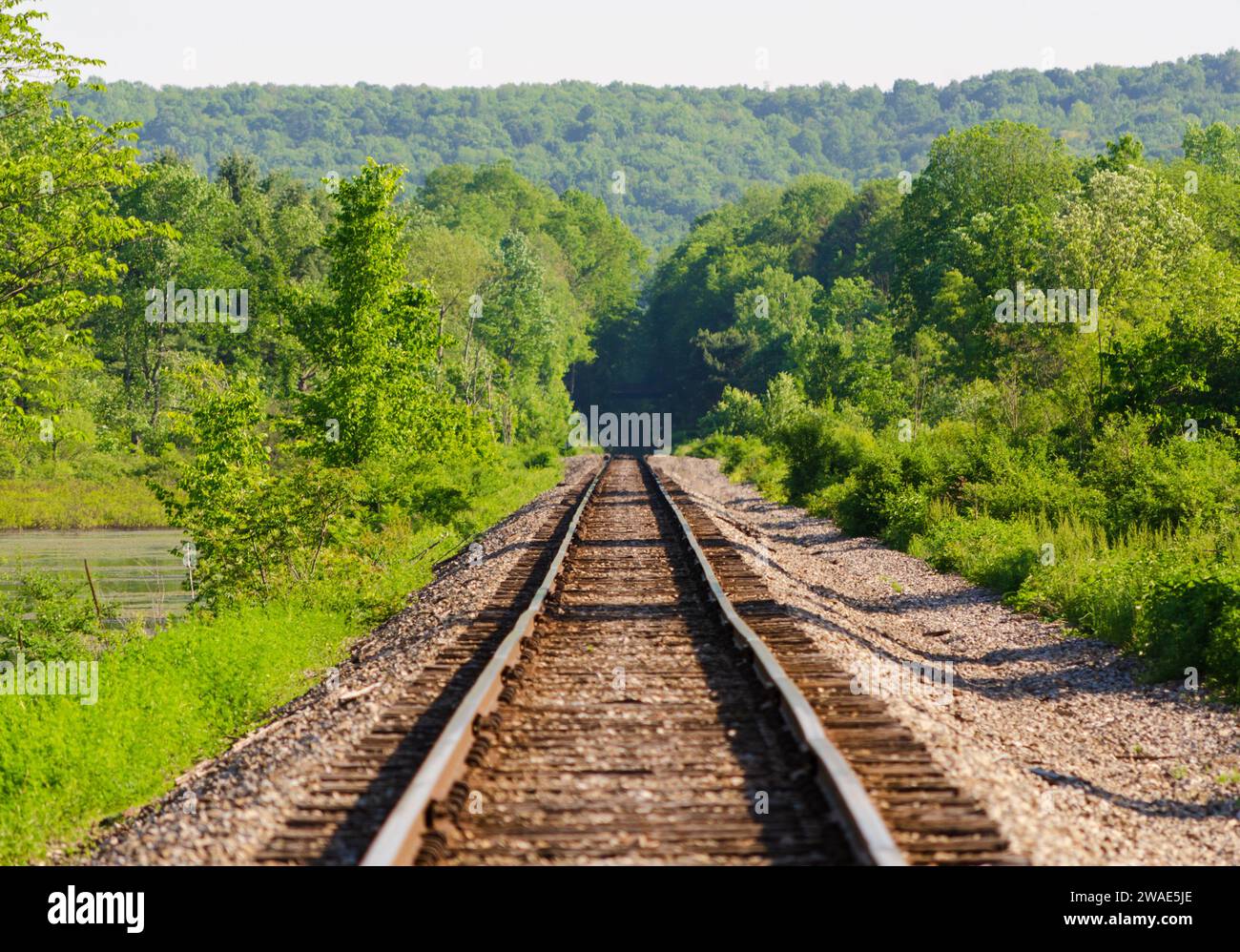 Warren county wetlands hi-res stock photography and images - Alamy