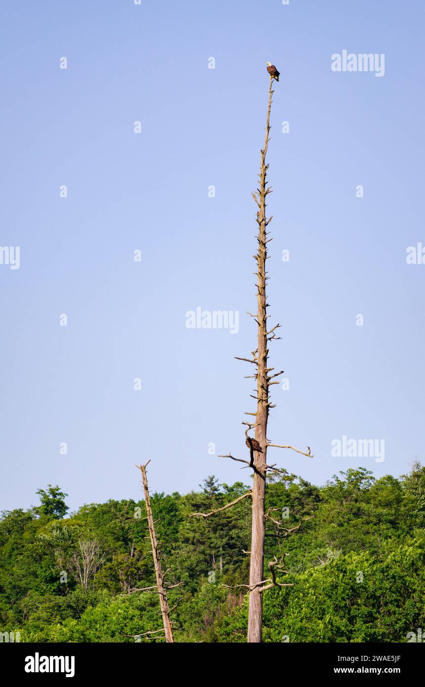 Warren county wetlands hi-res stock photography and images - Alamy