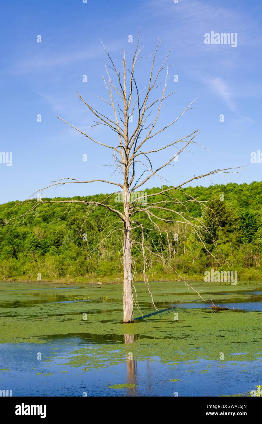 Warren county natural beauty hi-res stock photography and images - Alamy