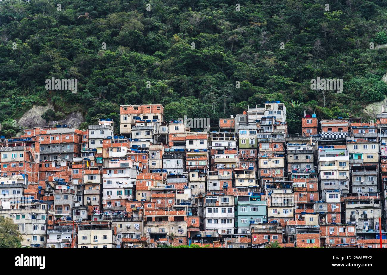Colorful Favelas of Rio de Janeiro Expanding into Jungle Stock Photo ...