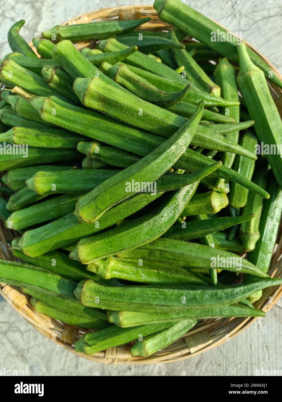 Lady finger fingers okra okro hi-res stock photography and images - Alamy