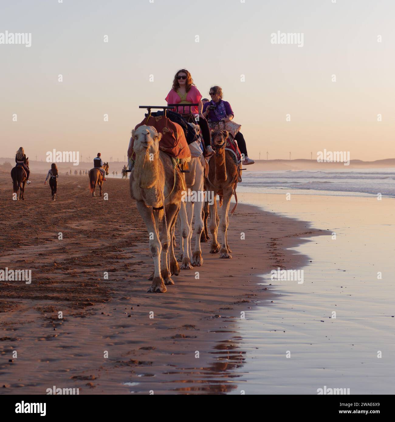 Morocco women riding camels hi-res stock photography and images - Alamy