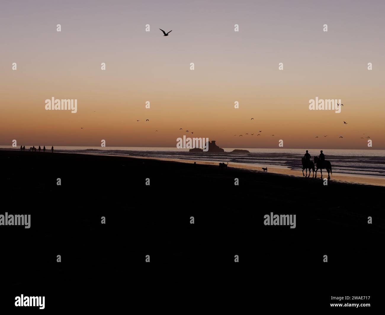 Horse riders and dogs in silhouette on a beach at sunset with a rock ...