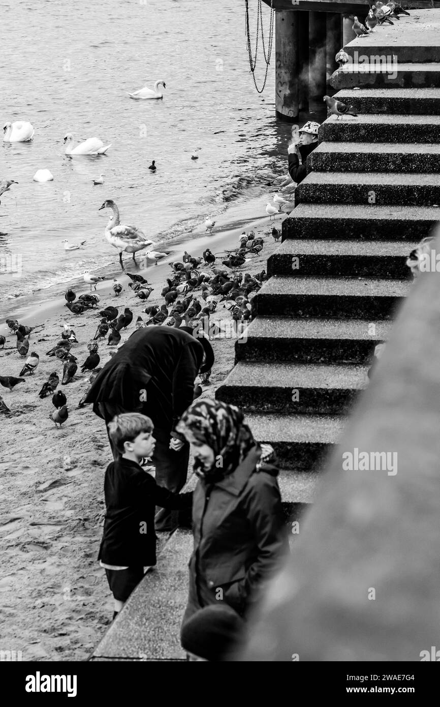 London skyline birds Black and White Stock Photos & Images - Alamy