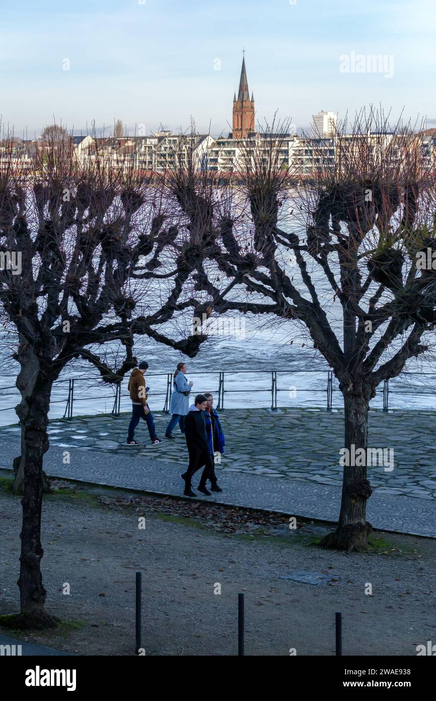 Bonn, Germany - December 17, 2023 : View of people walking next to the ...