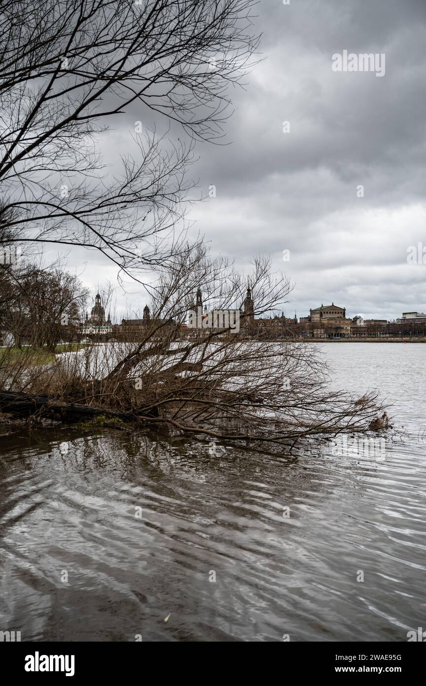 Dresden, Germany. 04th Jan, 2024. The meadows in front of the old town ...