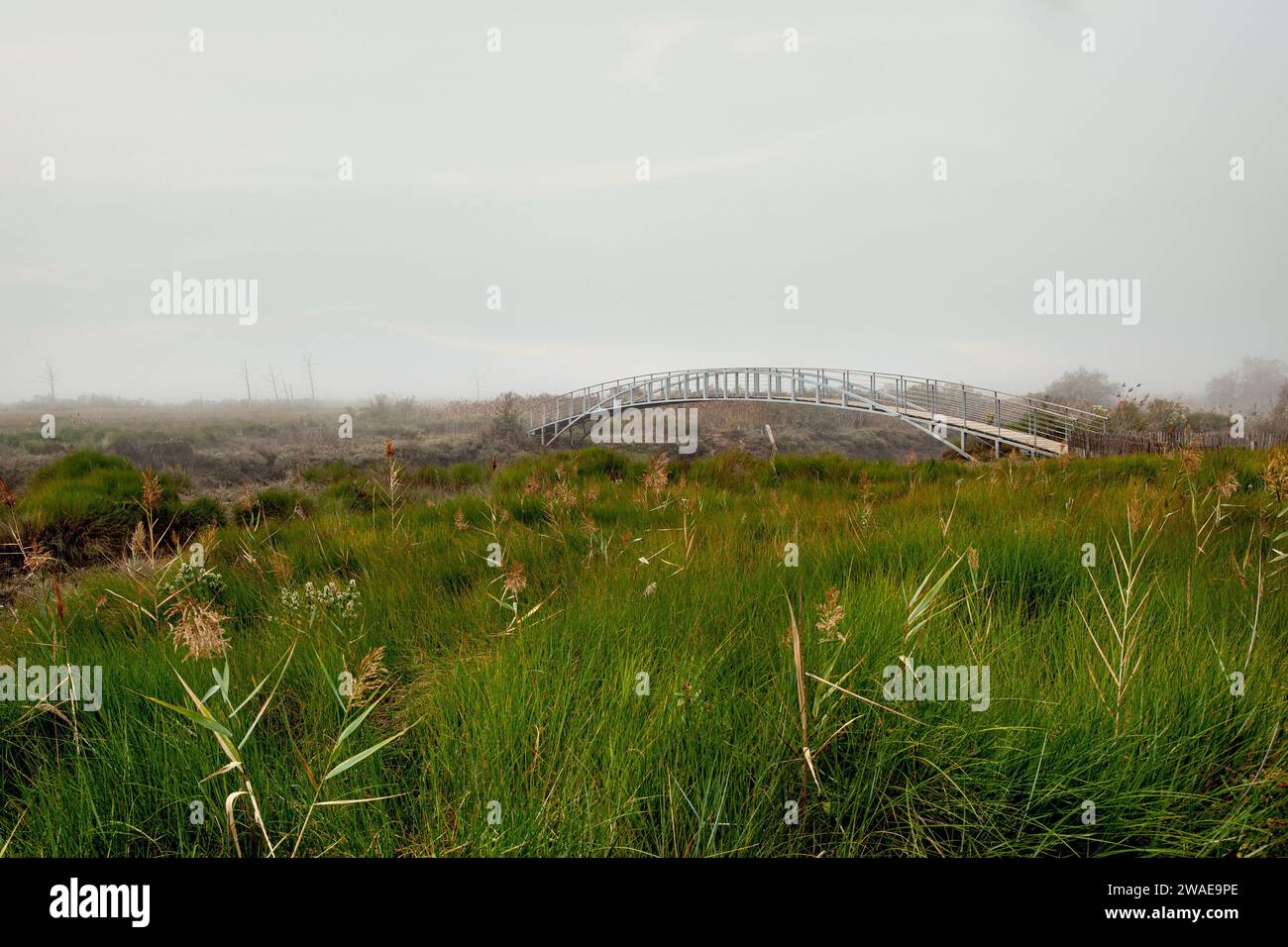 éploration hi-res stock photography and images - Alamy