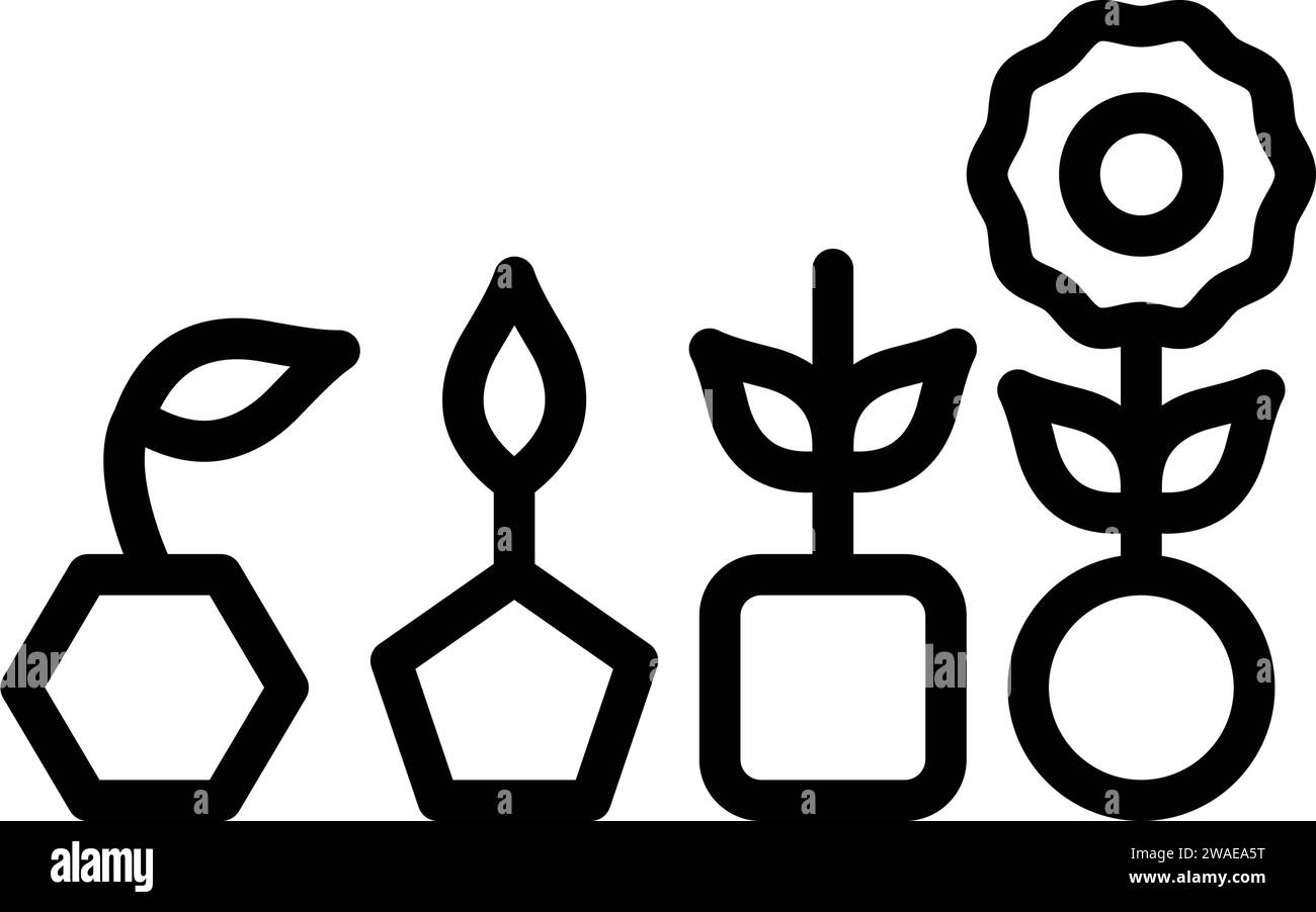 Sapling growth Black and White Stock Photos & Images - Alamy