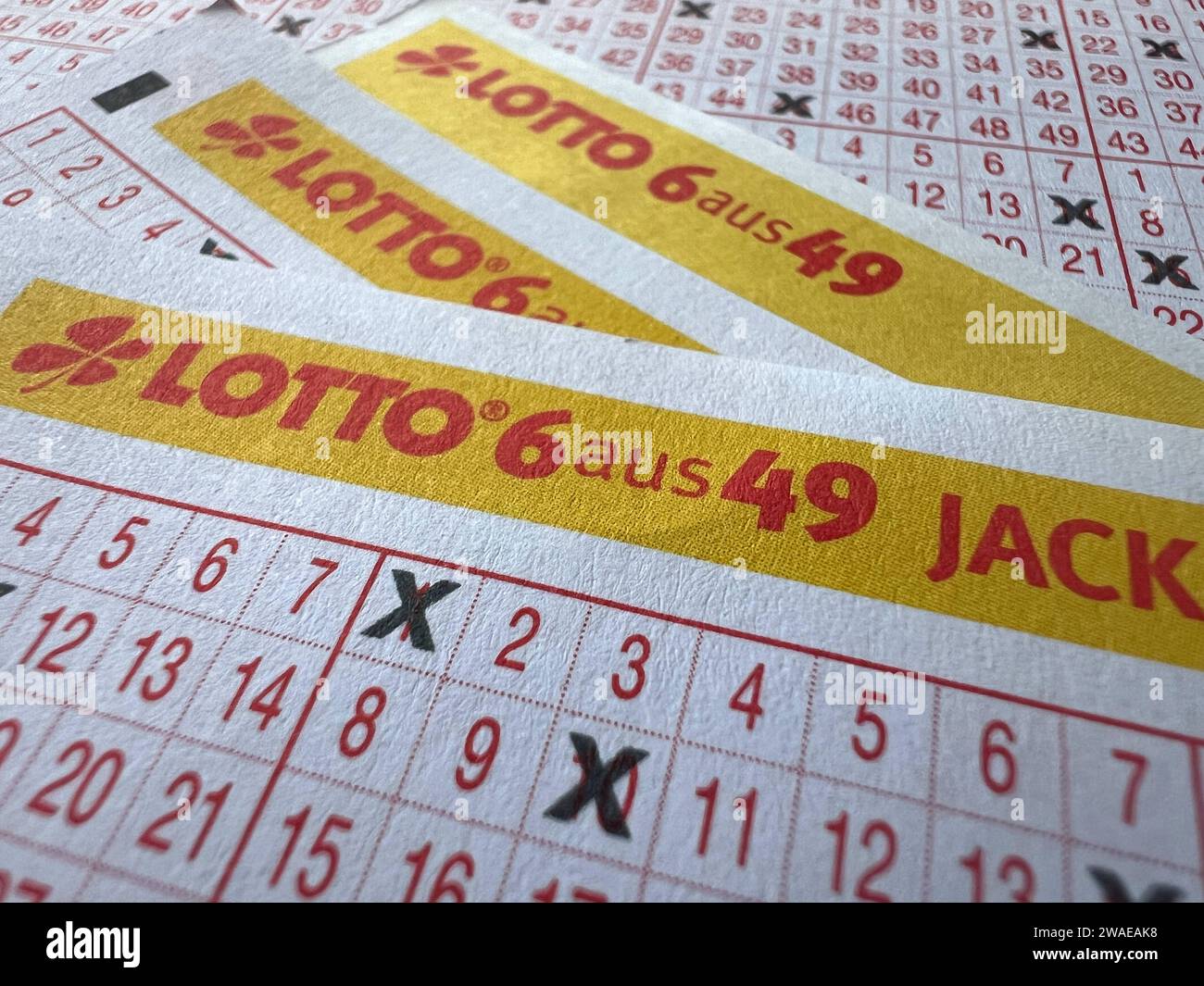 Lotto 49 store