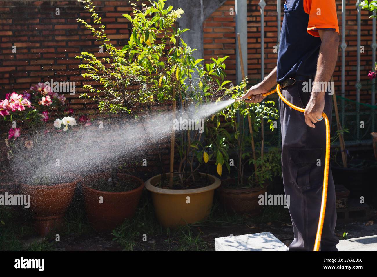 Termite controler spraying cemicals outside the house into the soil and ...