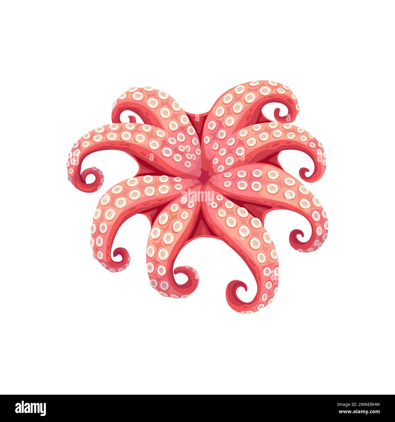 Cooked octopus dish Stock Vector Images - Alamy