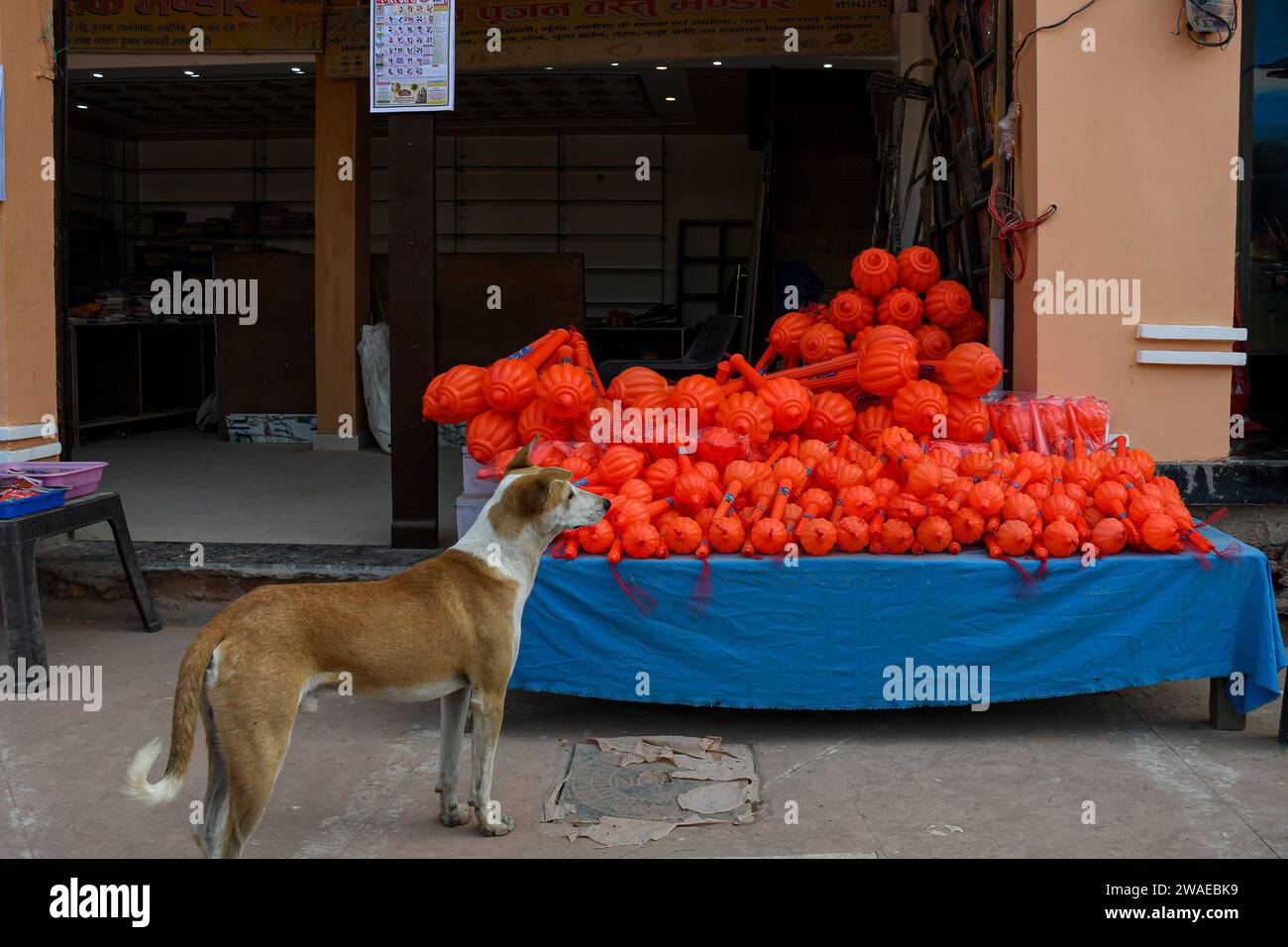 A dog waits outside a shop selling plastic gada at Bhakti Path in ...