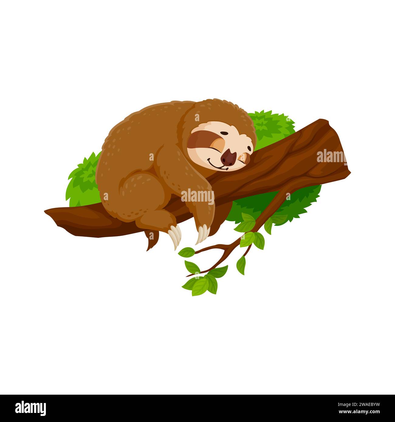 Cartoon funny sloth character peacefully slumbers on tree branch ...