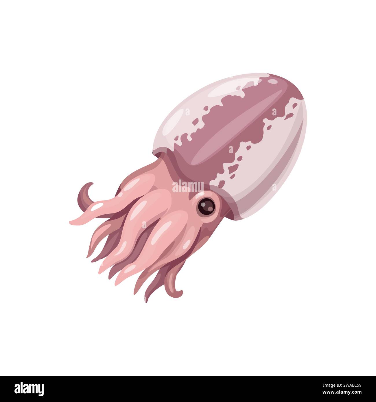 Cuttle fishing Stock Vector Images - Alamy