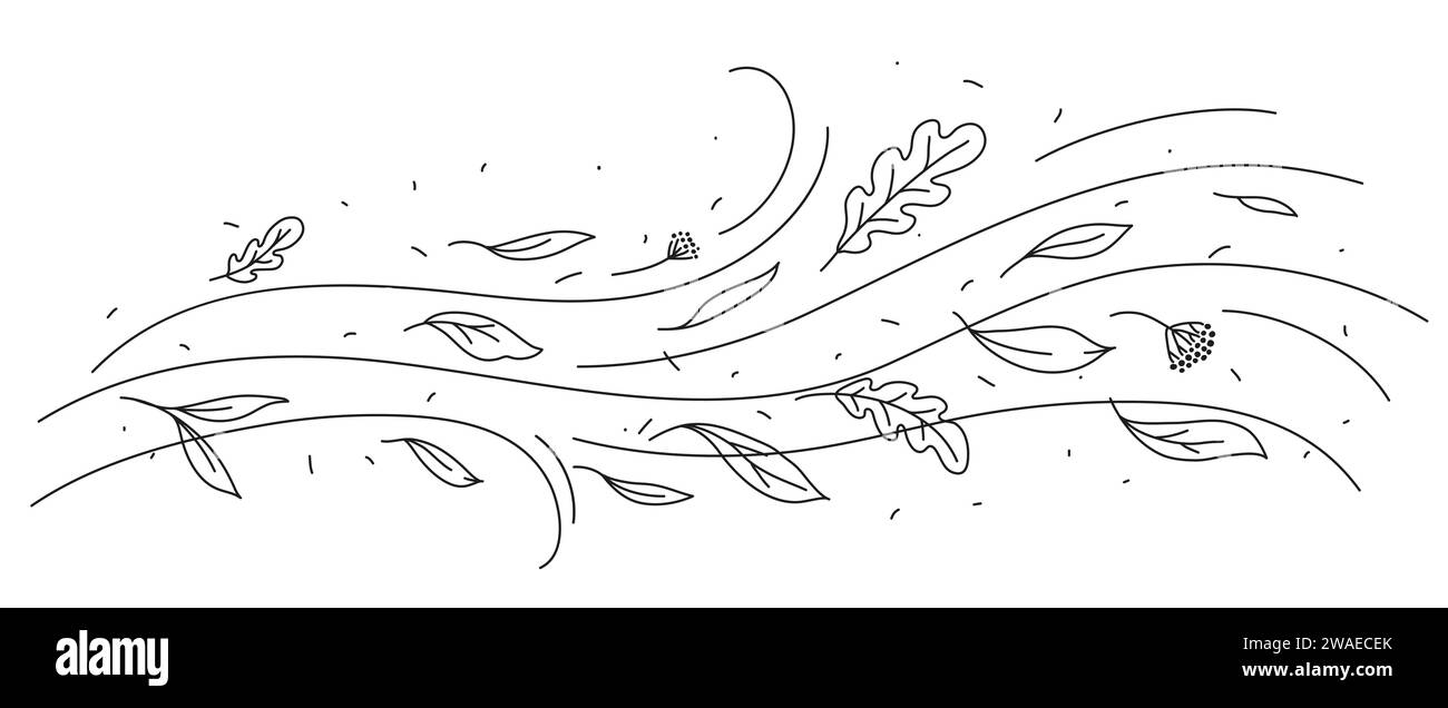 Animated Wind Blowing Leaves Clipart