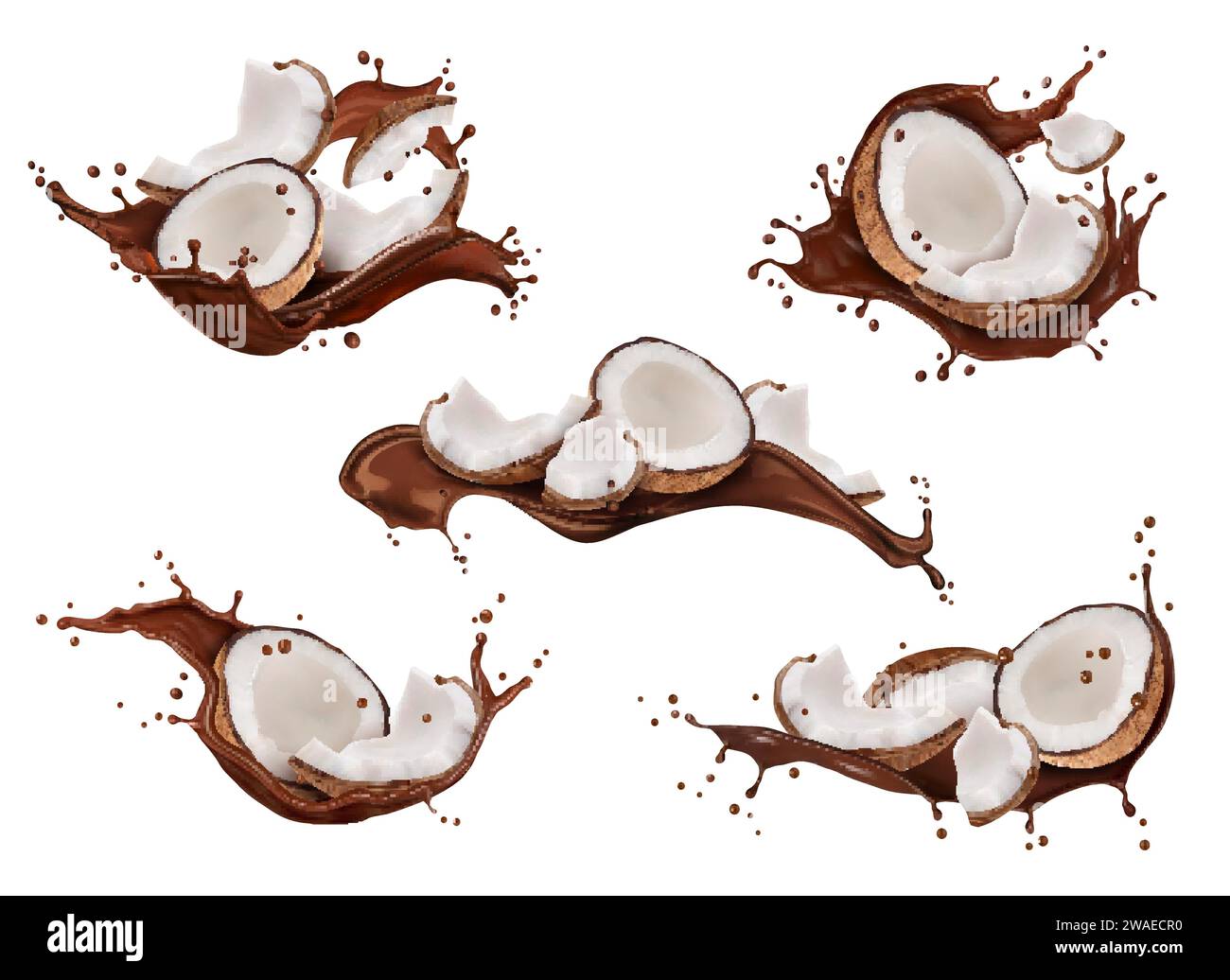 Cacao coco Stock Vector Images - Alamy