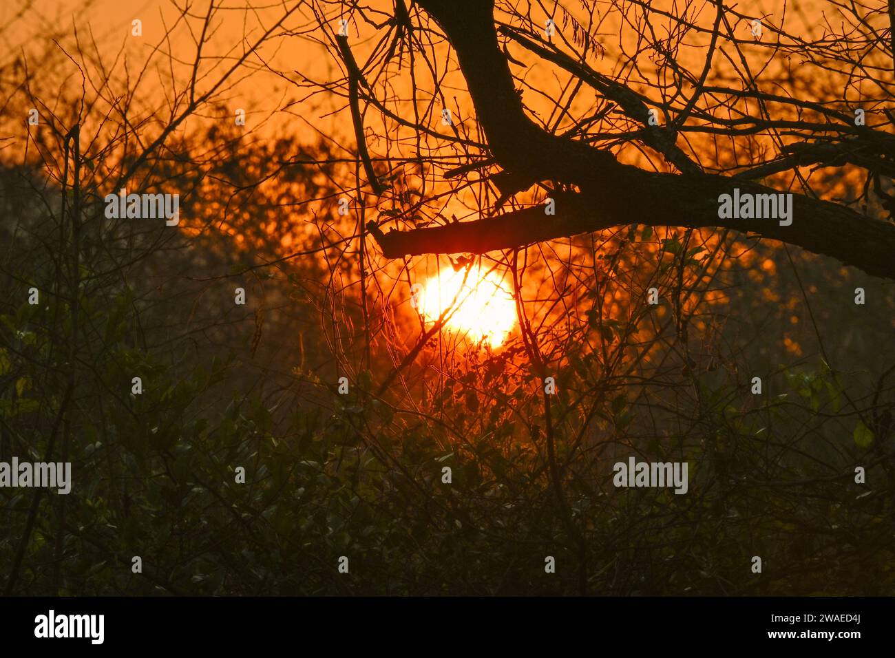 Light of Hope Stock Photo - Alamy