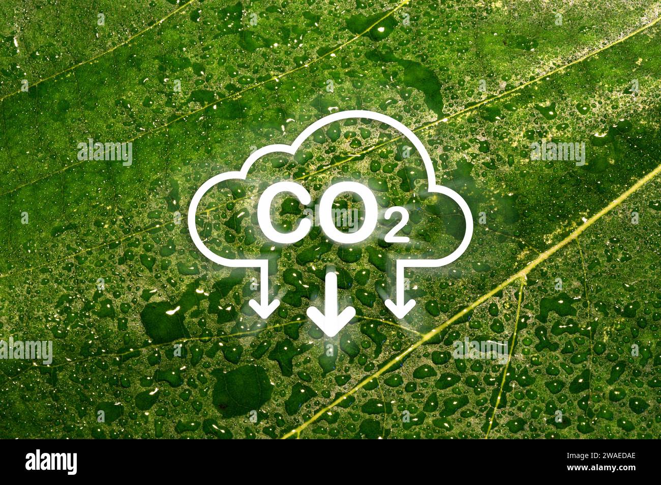 CO2 reduction icon on a green leaf with droplets. CO2 reduction concept for environment, global ...