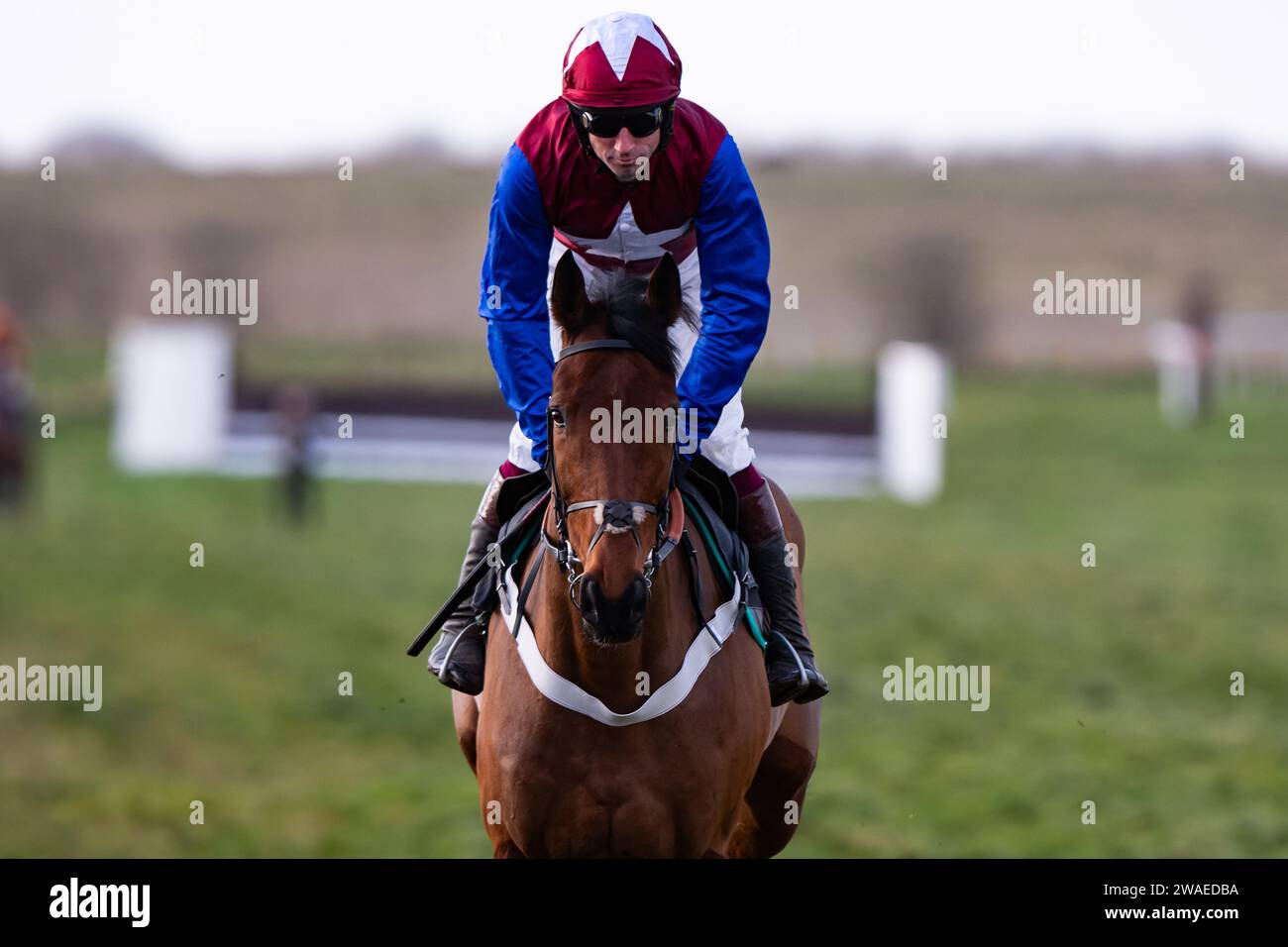 Salisbury plain army horse hi-res stock photography and images - Alamy