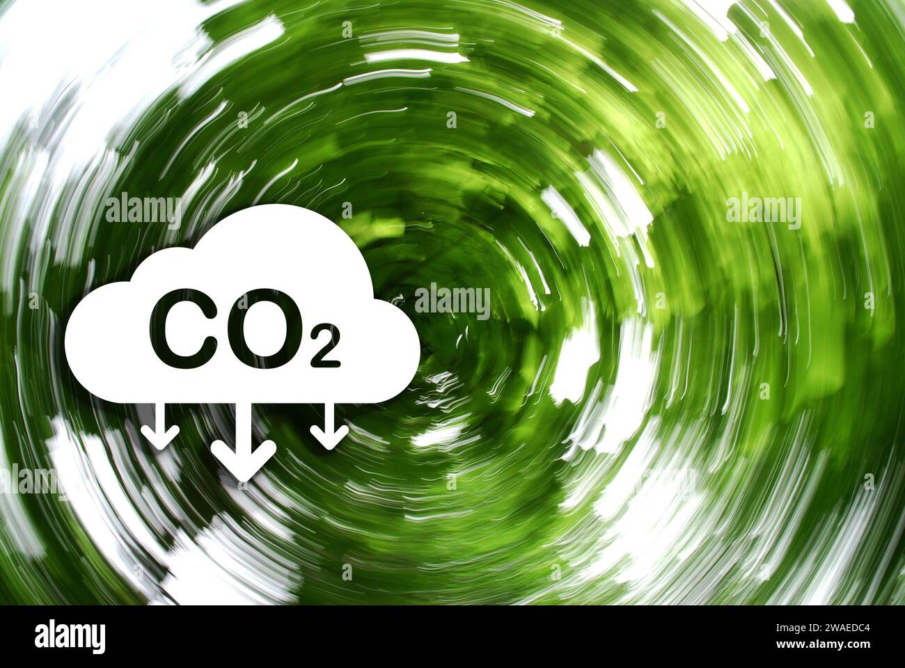CO2 reducing icon and rotating blurred green forest. Concept of CO2 reduction for the ...