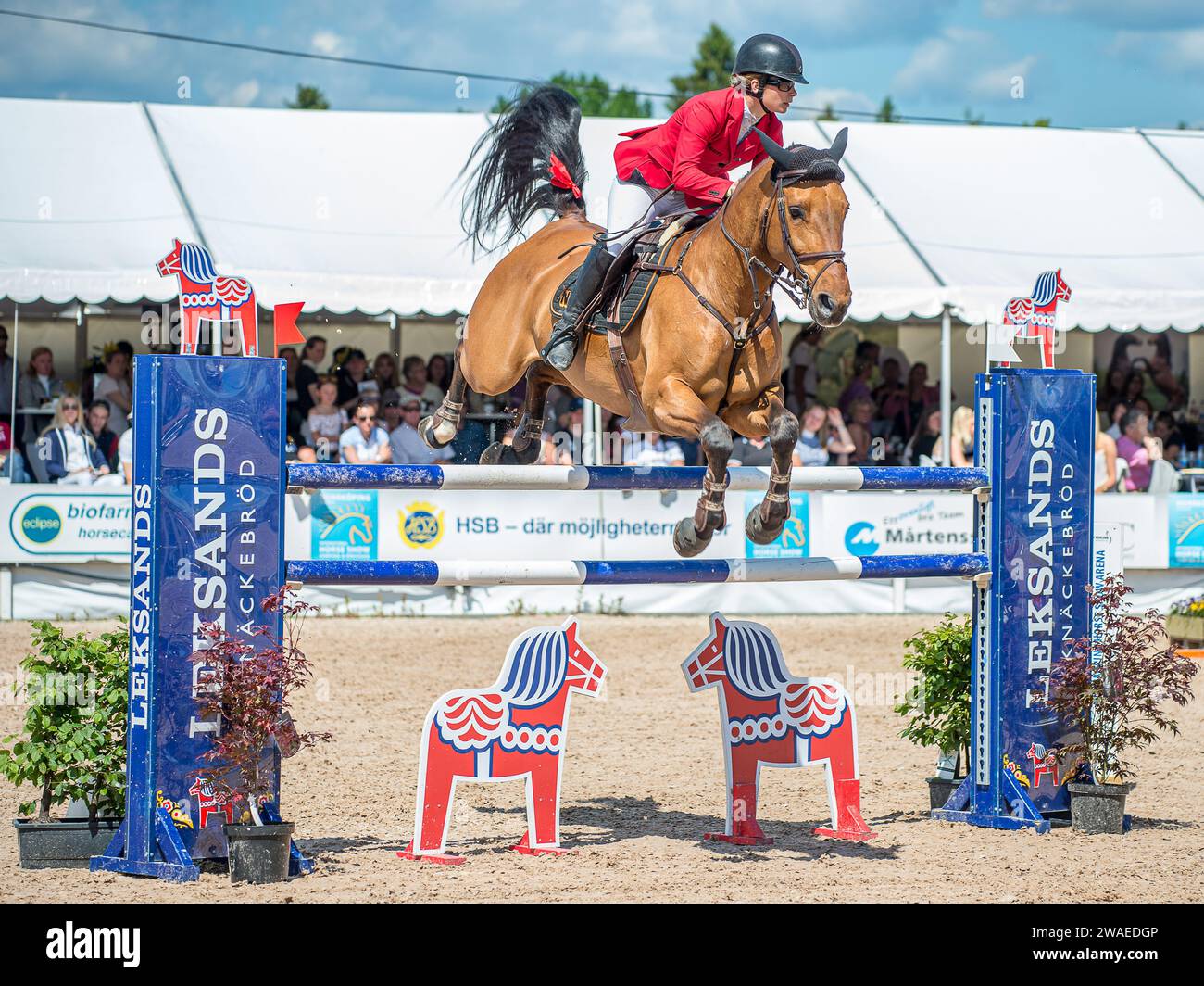 Show jumping competition at Norrköping Horse Show. The Swedish ...