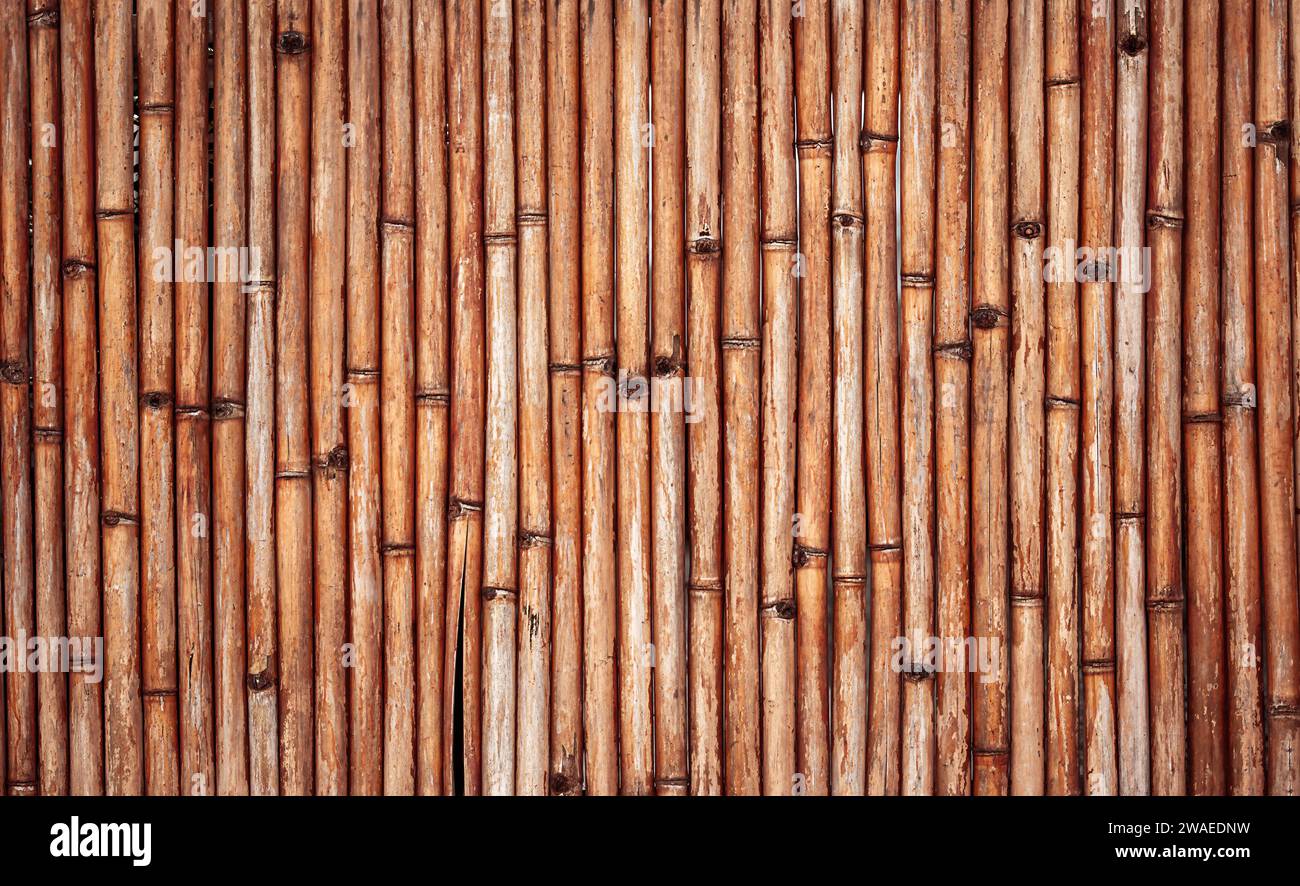 Bamboo wood wall texture. Bamboo tubes fence Stock Photo - Alamy