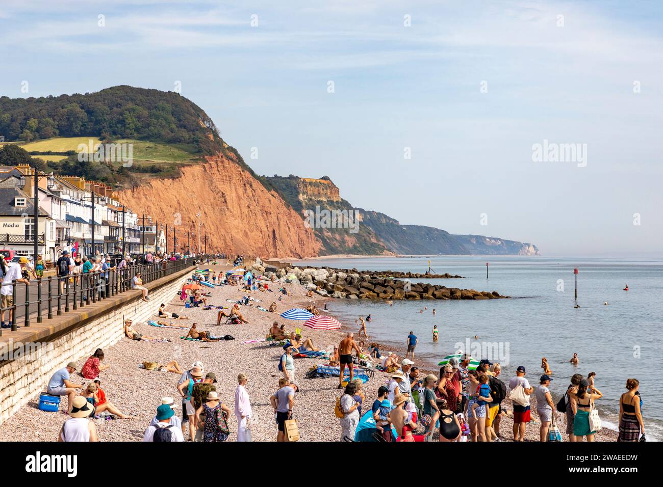 Sidmouth Devon England, shingle beach at Lyme Bay, people sunbathe and ...