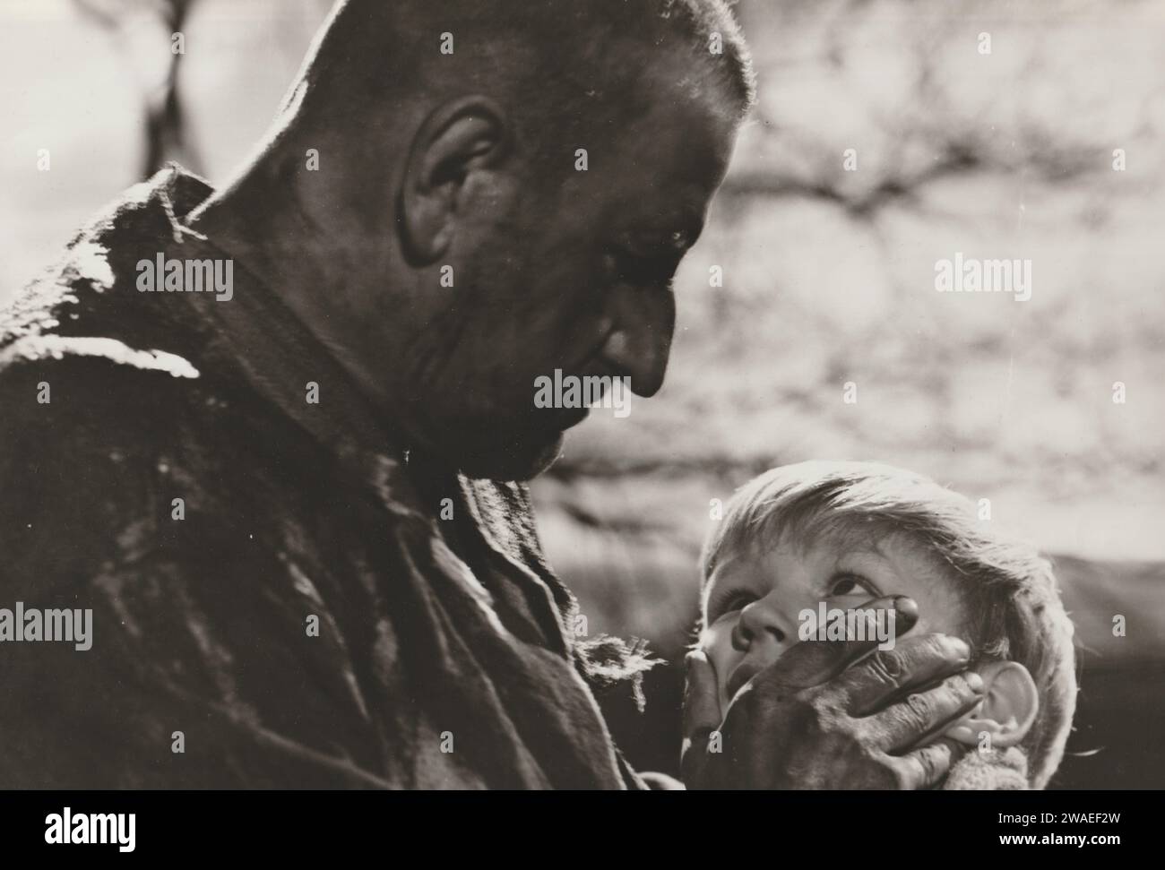 Great Expectations 1947 Starring Jeans Simmons, John Mills. Directed By ...