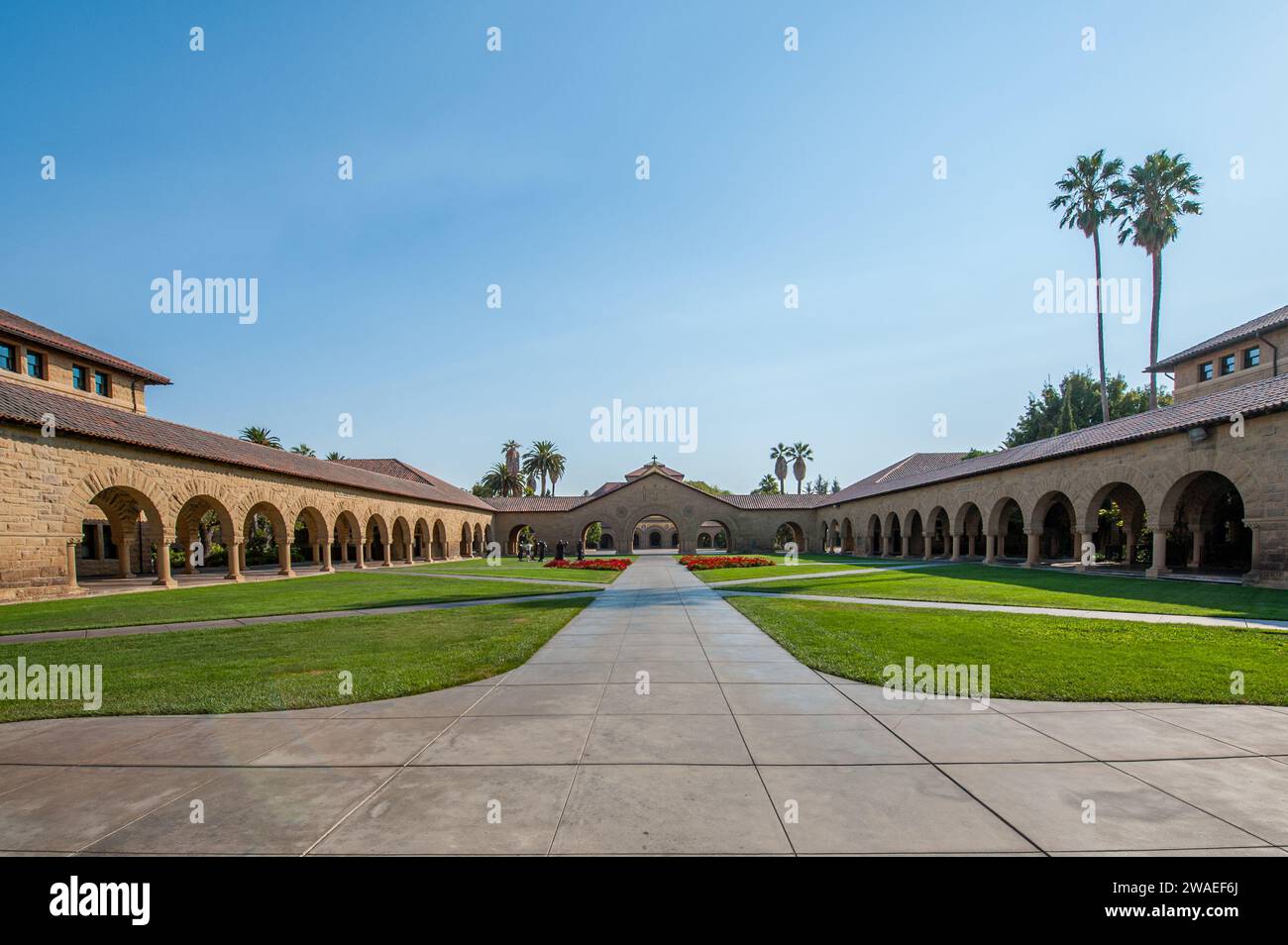 American stanford blue hi-res stock photography and images - Alamy