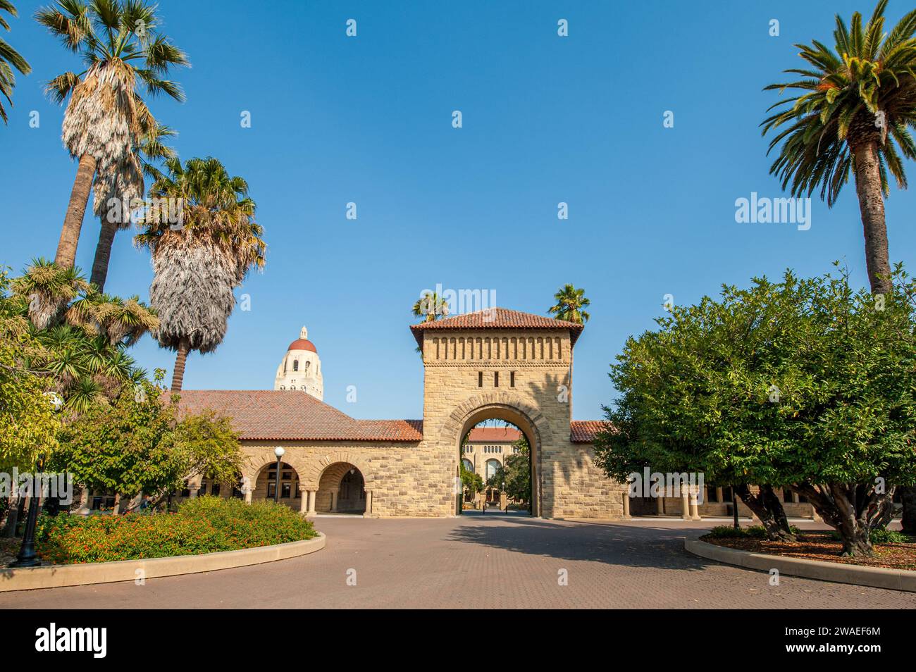 American stanford blue hi-res stock photography and images - Alamy