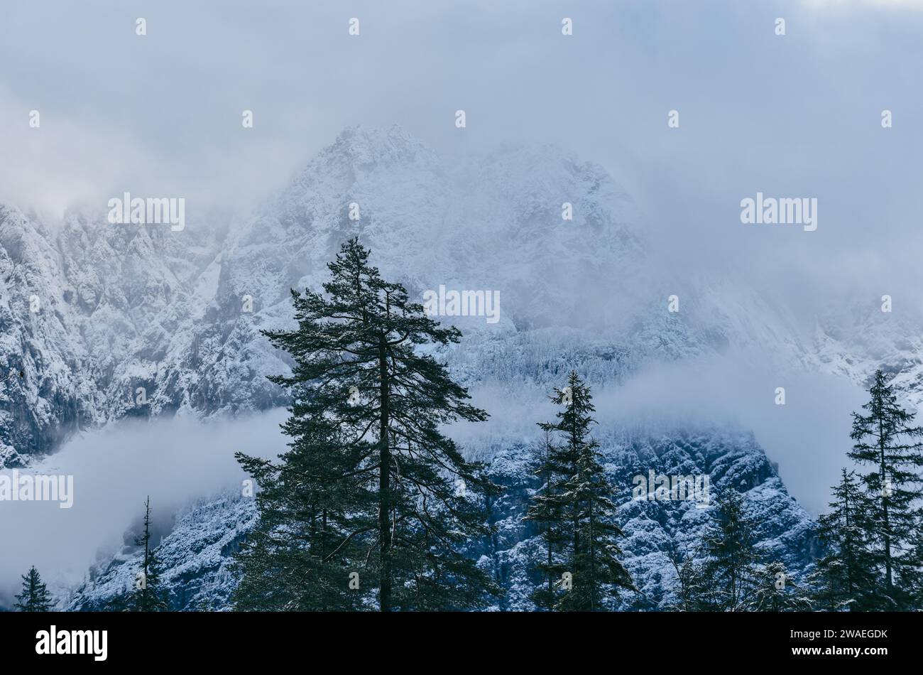 Winter landscape with snow covered trees under rocky mountain peaks shrouded in mist and clouds ...