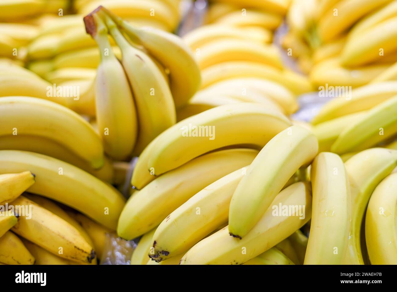 Fresh yellow bananas hi-res stock photography and images - Alamy