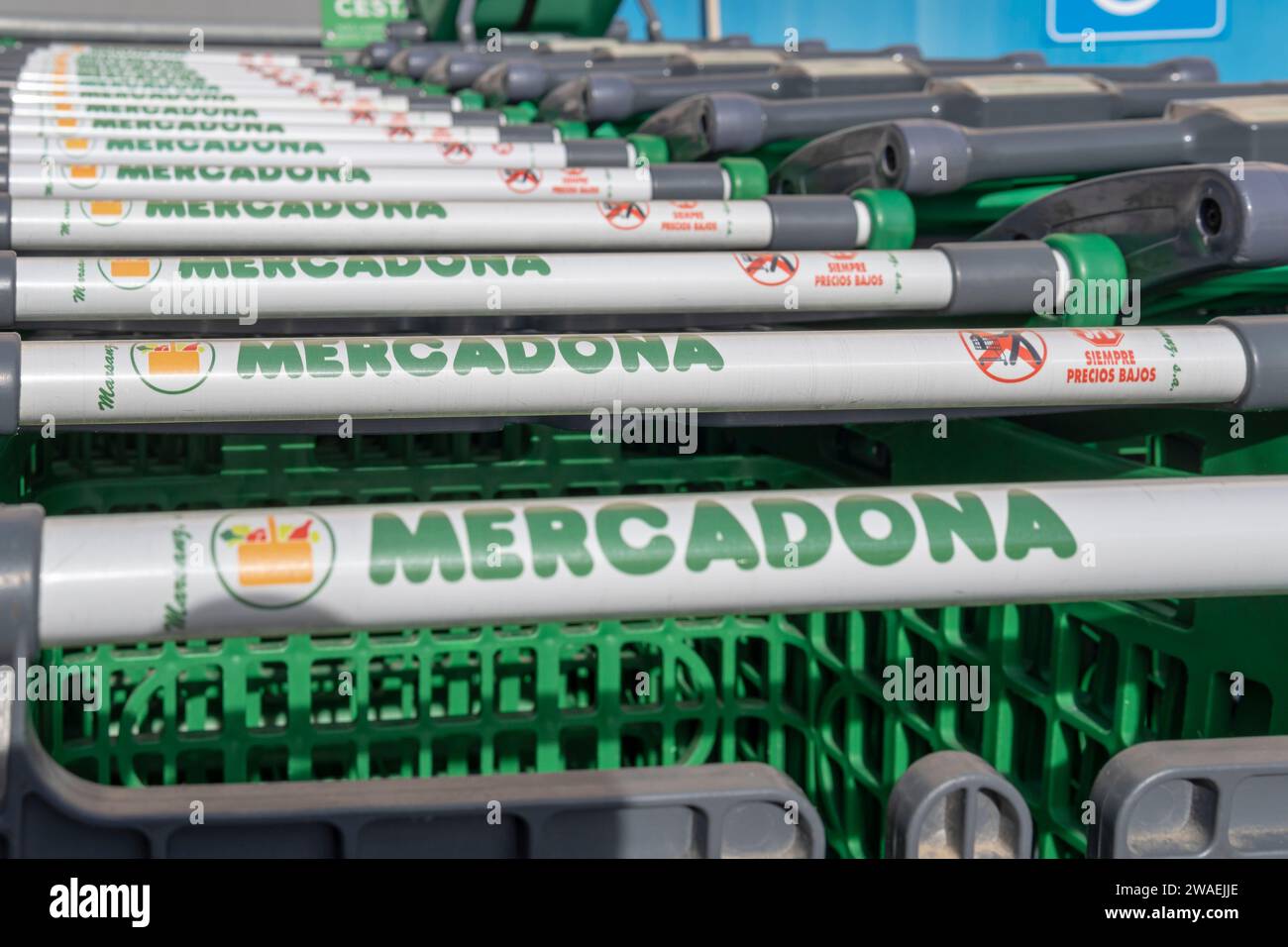 Manacor, Spain; january 02 2024: Metal supermarket shopping carts from ...