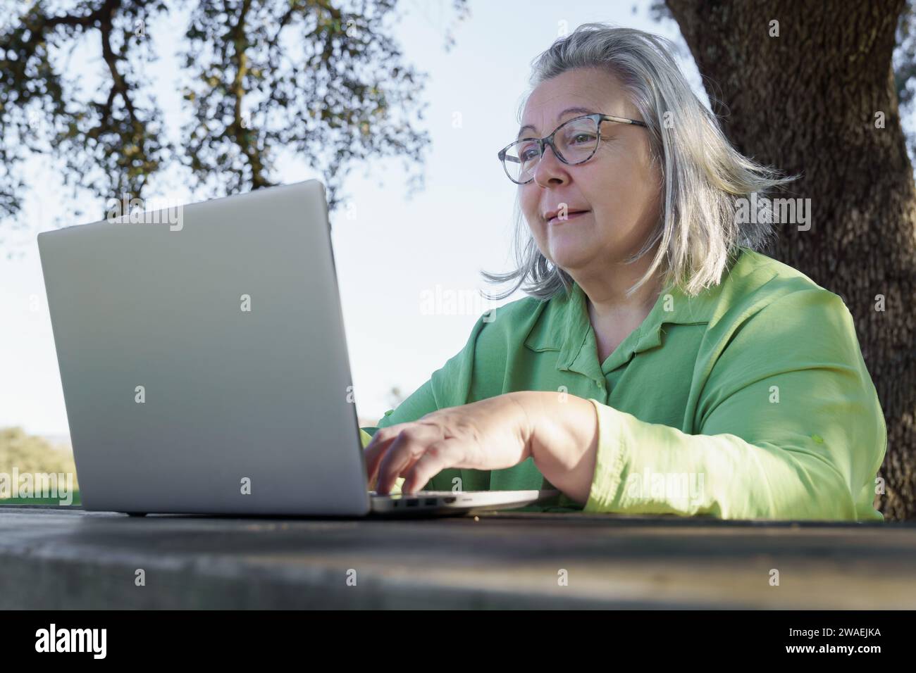 Mature woman glasses computer hi-res stock photography and images - Alamy