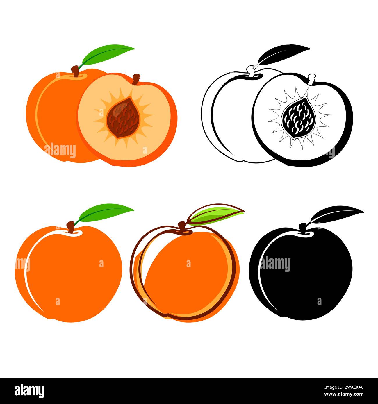 Half and whole of peach. Peach icon. Logo. Peaches isolated on white ...