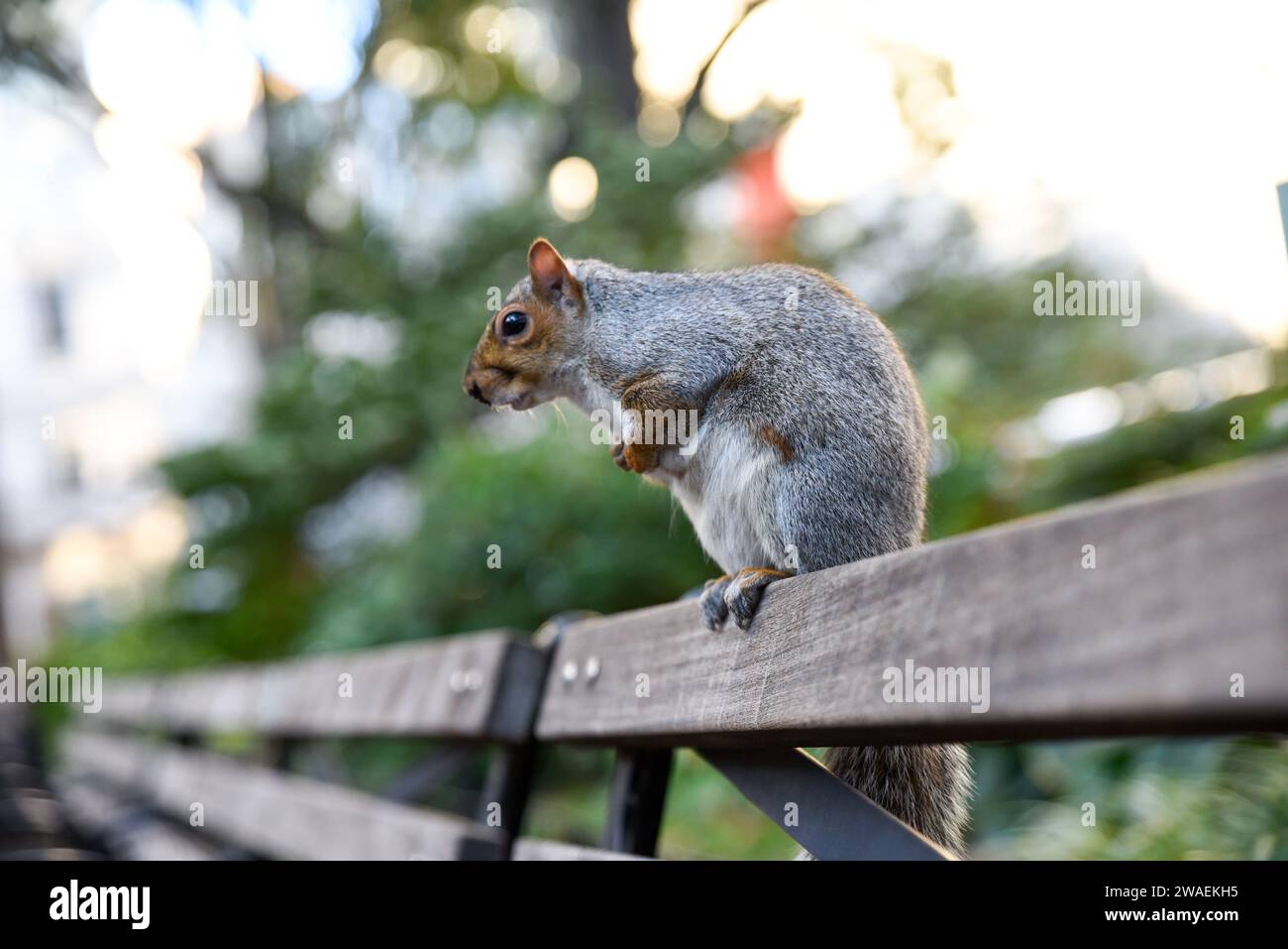 Oak street new york hi-res stock photography and images - Alamy